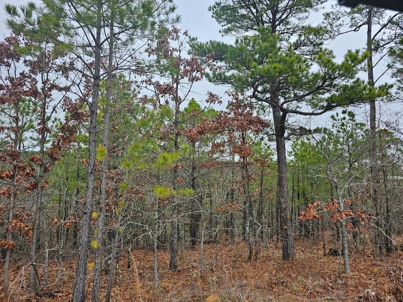 TBD Flag Pole Mountain Road, Clayton, OK 74536 | MLS: 11243601 | LandWatch