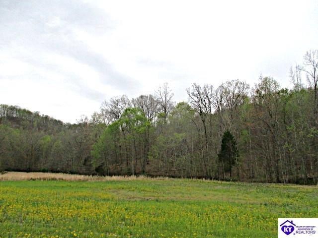 Lot 38 Sulphur Lick Road, New Hope, KY 40052 | MLS: HK25001501 | LandWatch