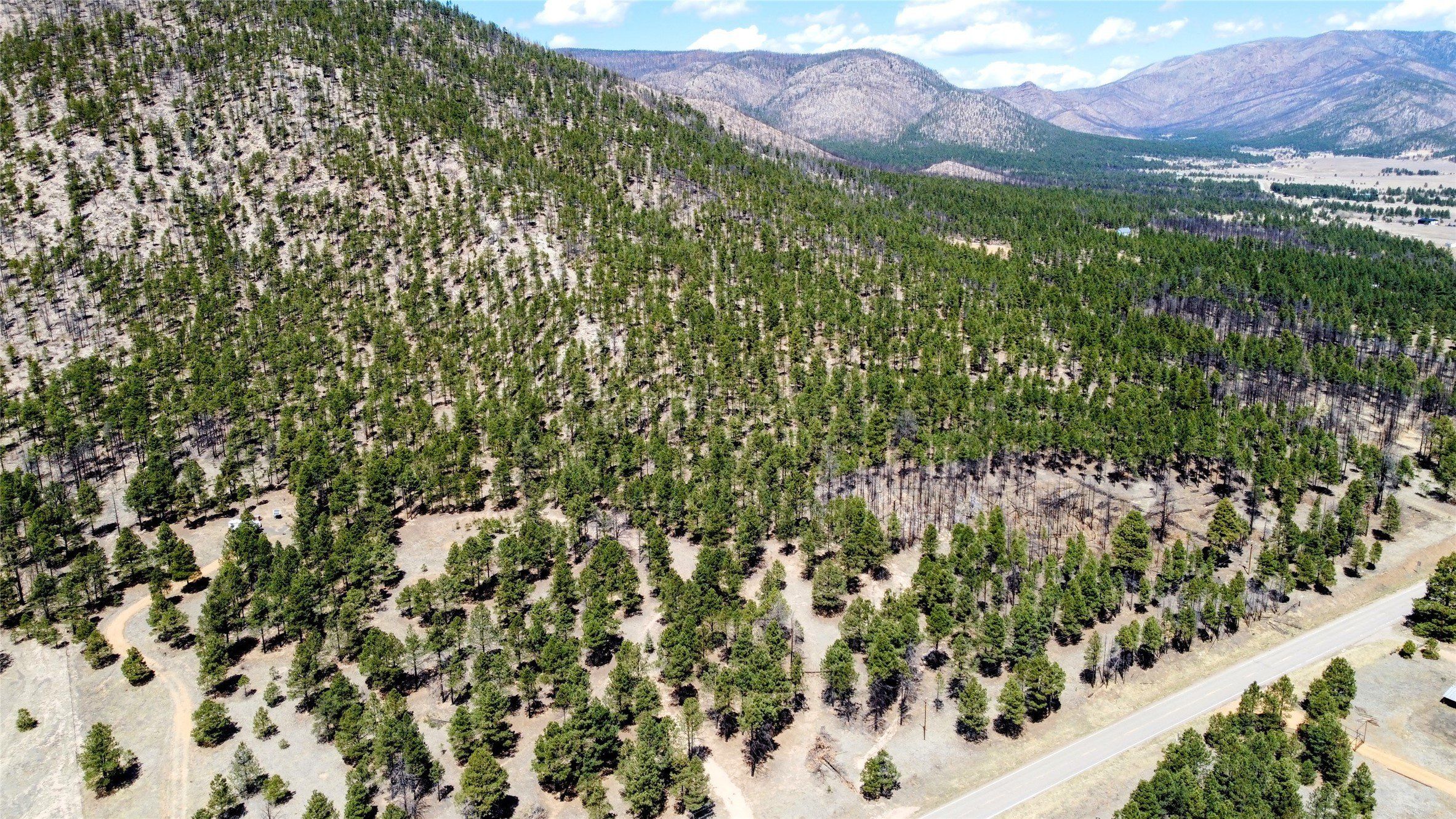 00 NM 434, Mora, NM 87732 | MLS: 202501334 | LandWatch