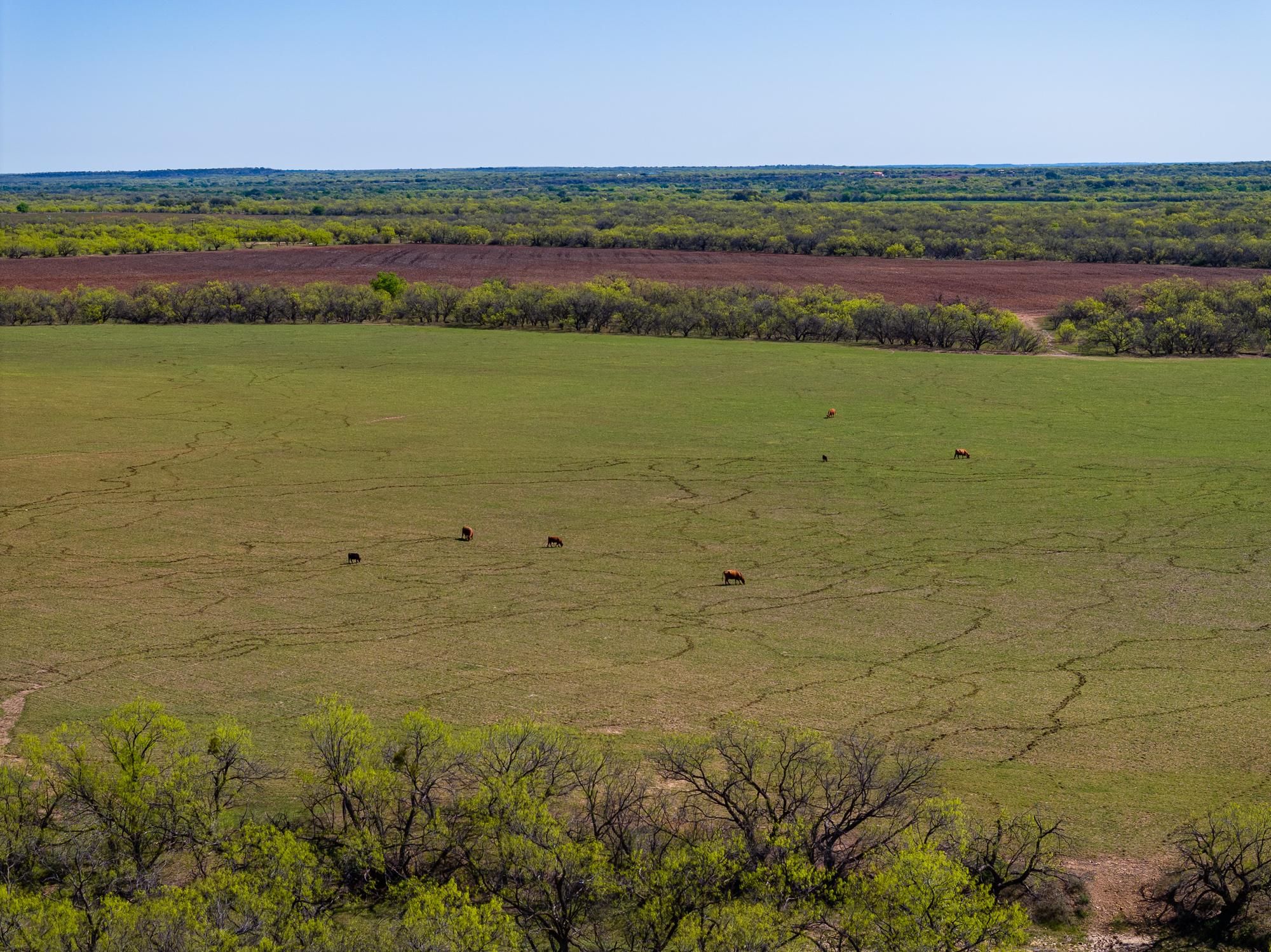610 acres in Moran, TX, 76464 | LandWatch