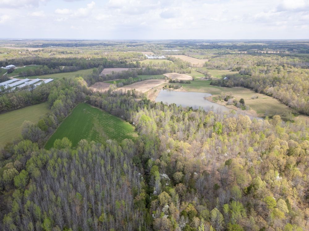 9 County Road 422, Rector, AR 72461 | MLS: Clay 100 | LandWatch