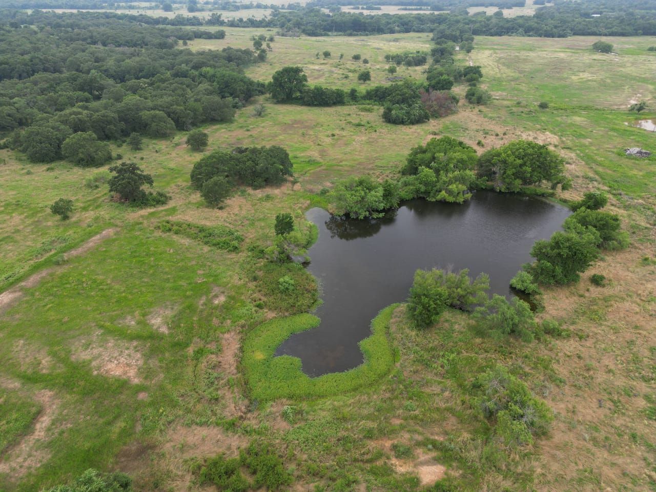 49 Acres FM 920, Poolville, TX 76487 | MLS: 20790505 | LandWatch