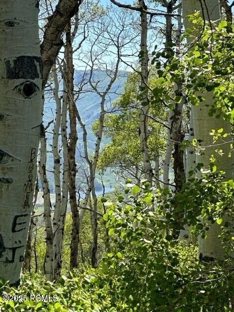 Tax Id 0000133921, Daniel, UT 84032 | MLS: 12501650 | LandWatch