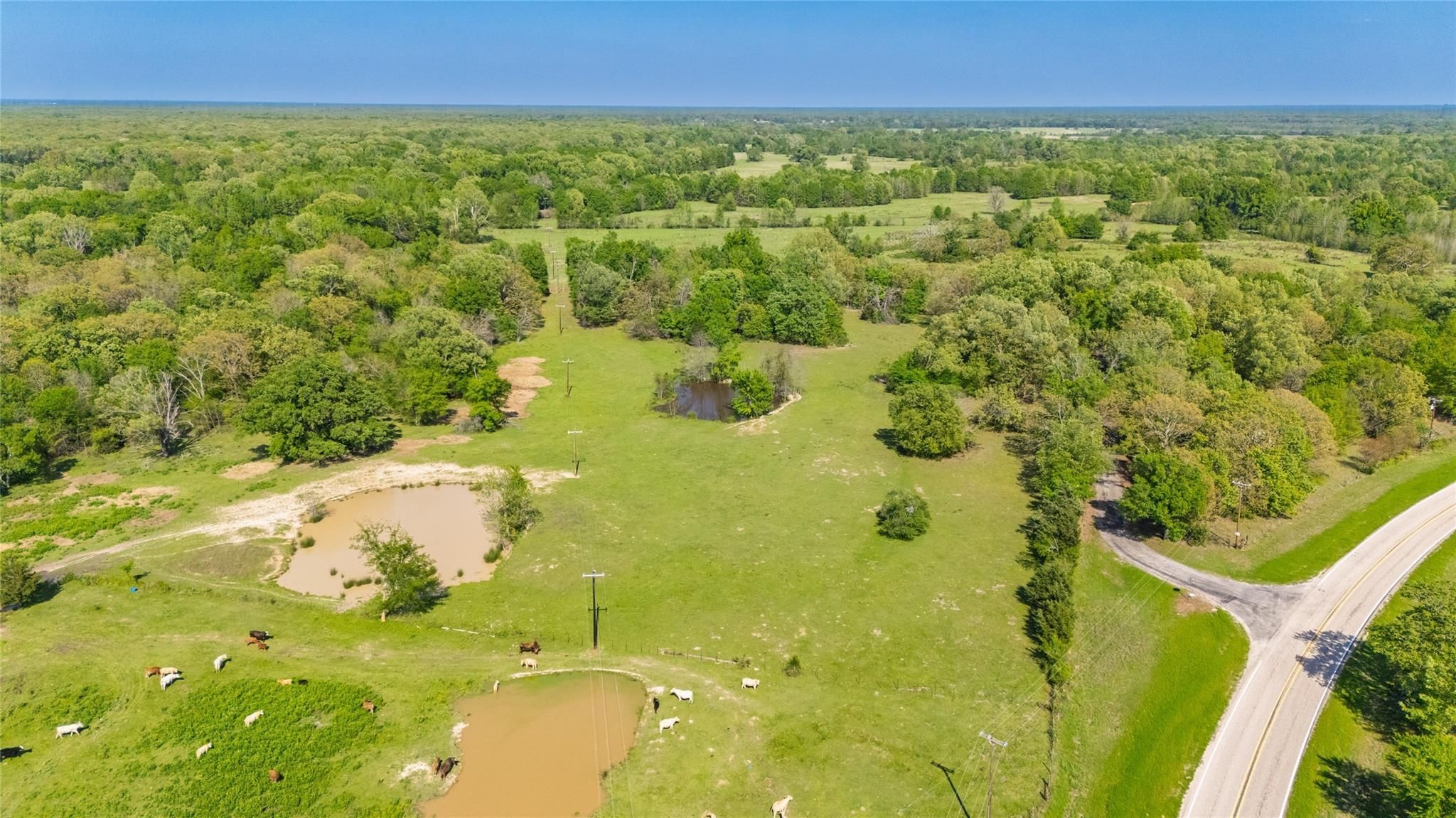 FM 900, Saltillo, TX 75478 | MLS: 20907067 | LandWatch