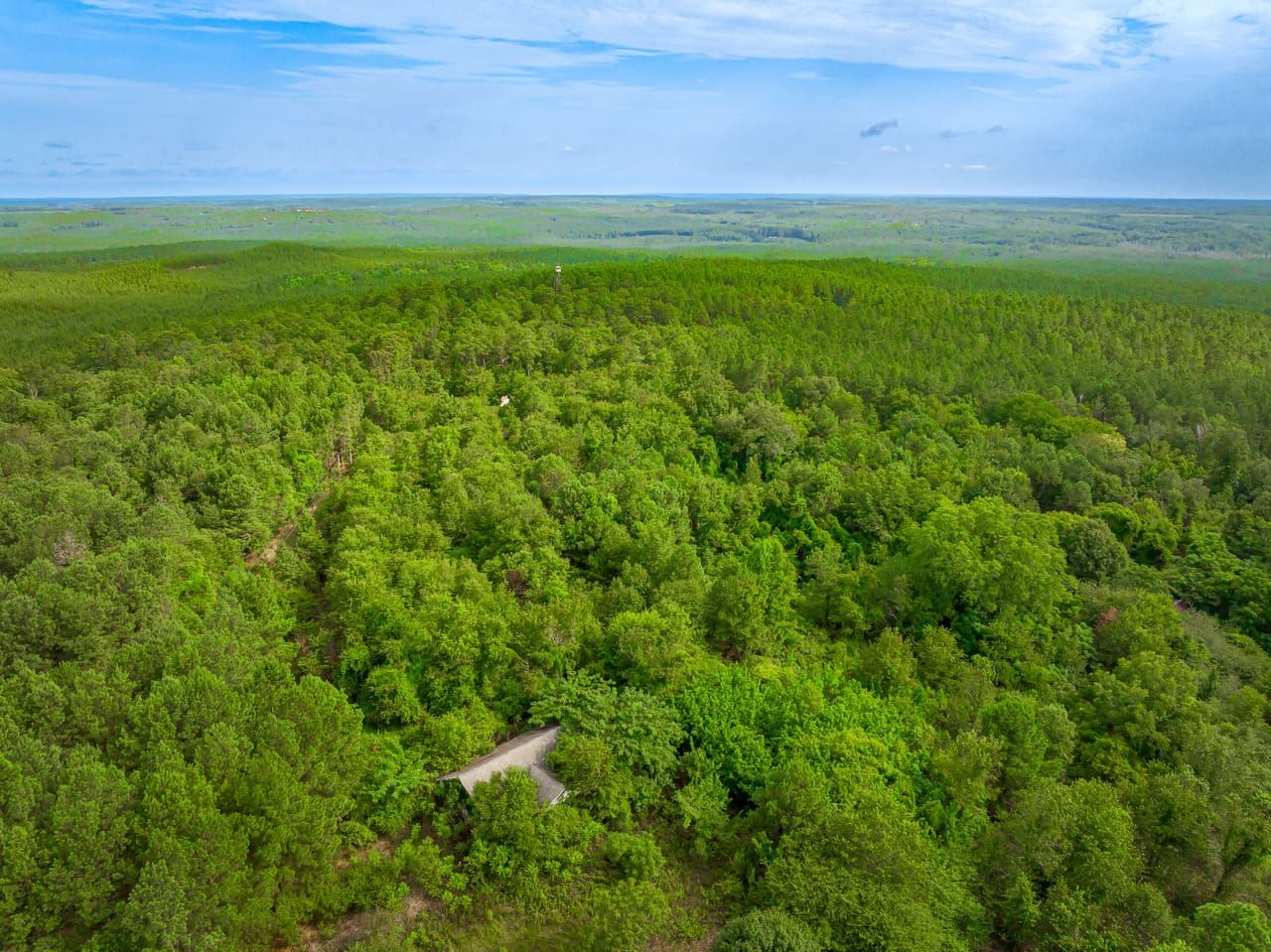 Percy Lane, Wallace, SC 29596 | LandWatch