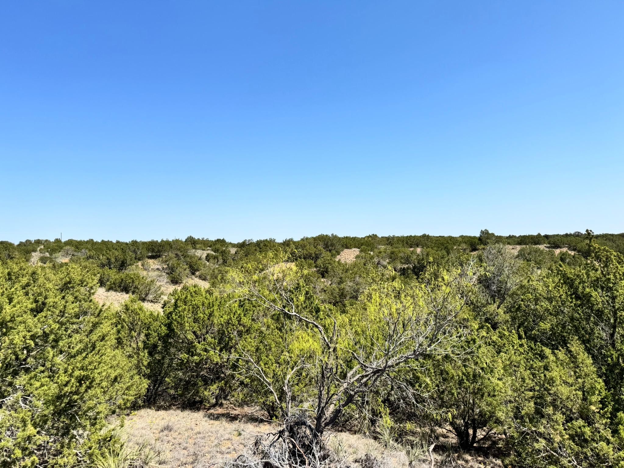 44 acres in Roaring Springs, TX, 79256 | LandWatch