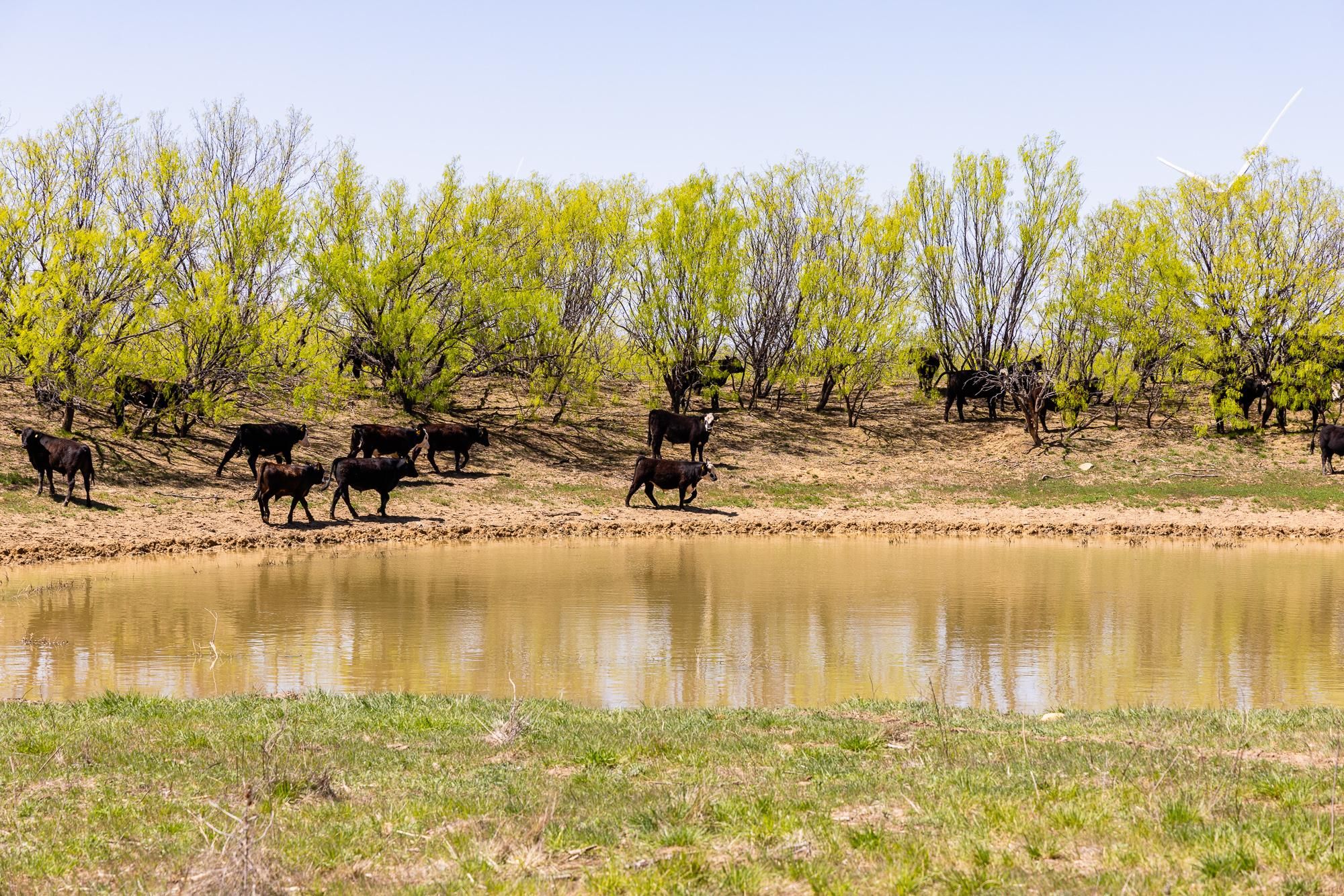 641 acres in Putnam, TX, 76469 | LandWatch