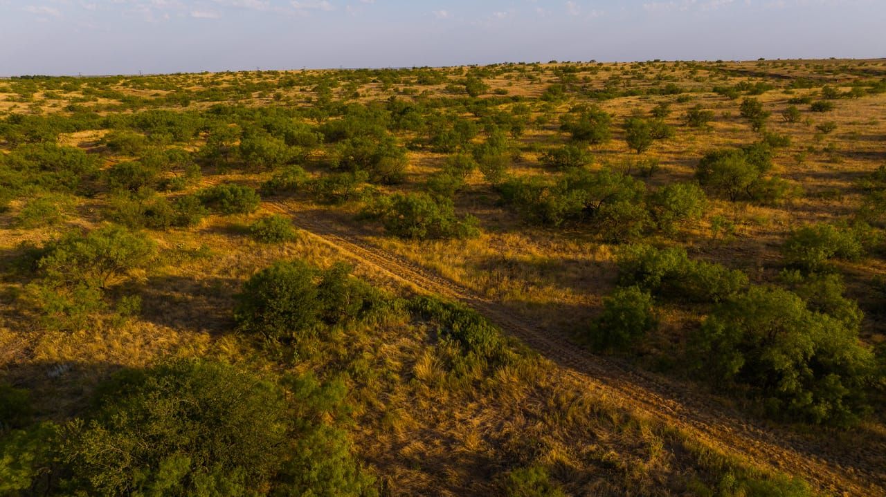 TBD County Road 14, Childress, TX 79079 | LandWatch