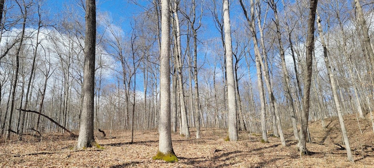 8669 BIRD LN, Shoals, IN 47581 | LandWatch