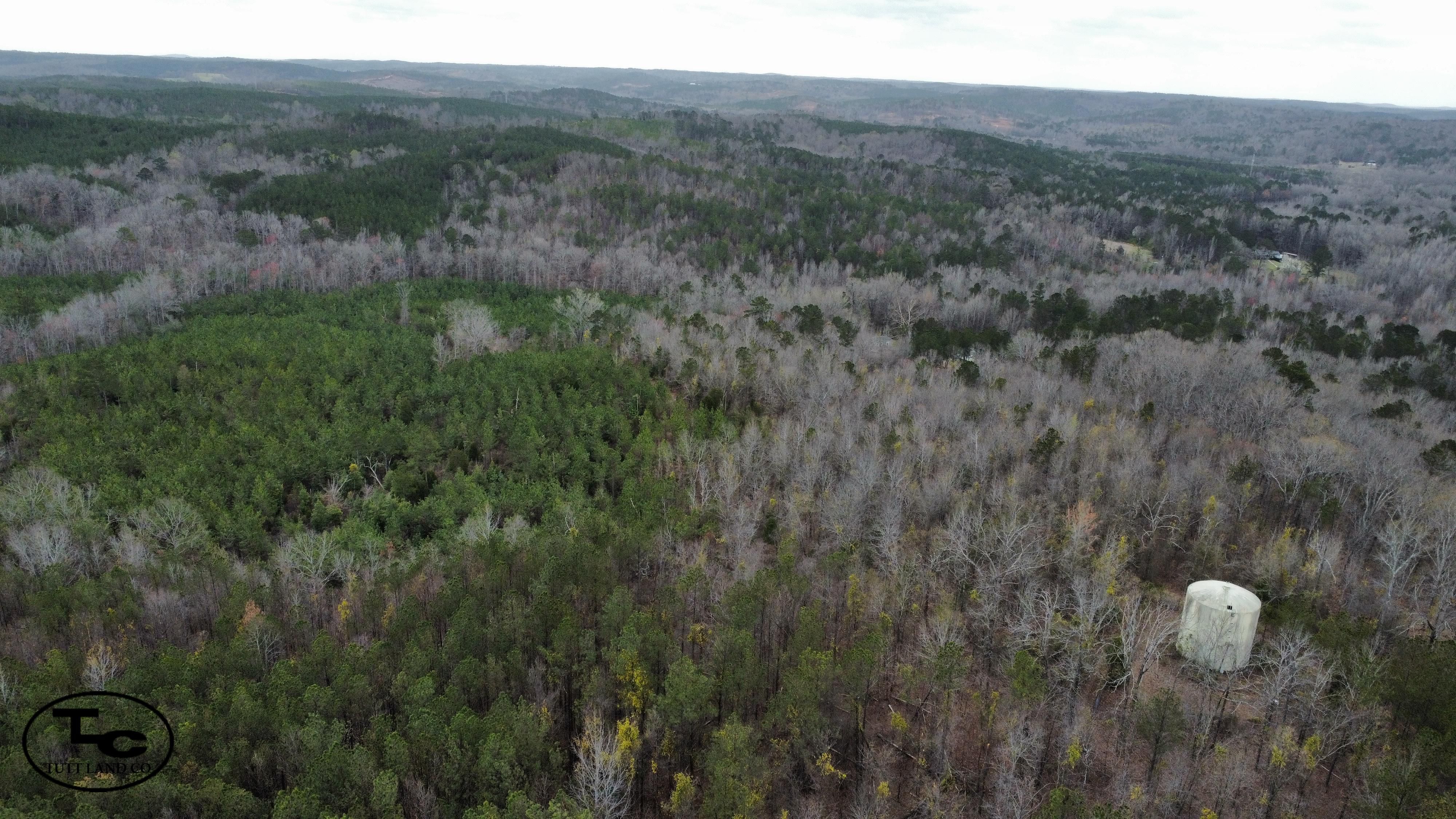 31 acres in Belk, AL, 35555 | LandWatch