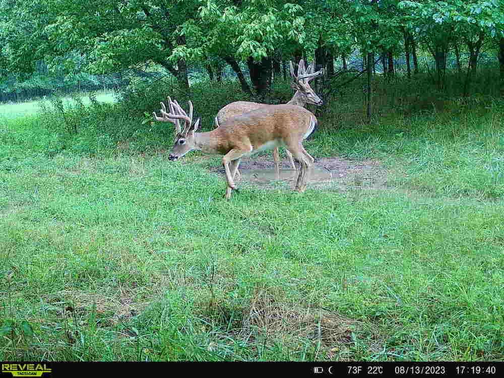 Dilthey Road, Lot #WP002, Pilot Grove, MO 65276 | LandWatch