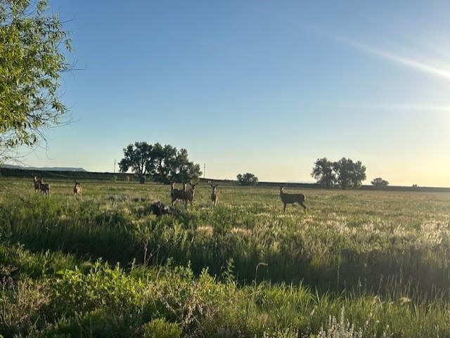 910 New Mexico 505, Maxwell, NM 87728 | LandWatch