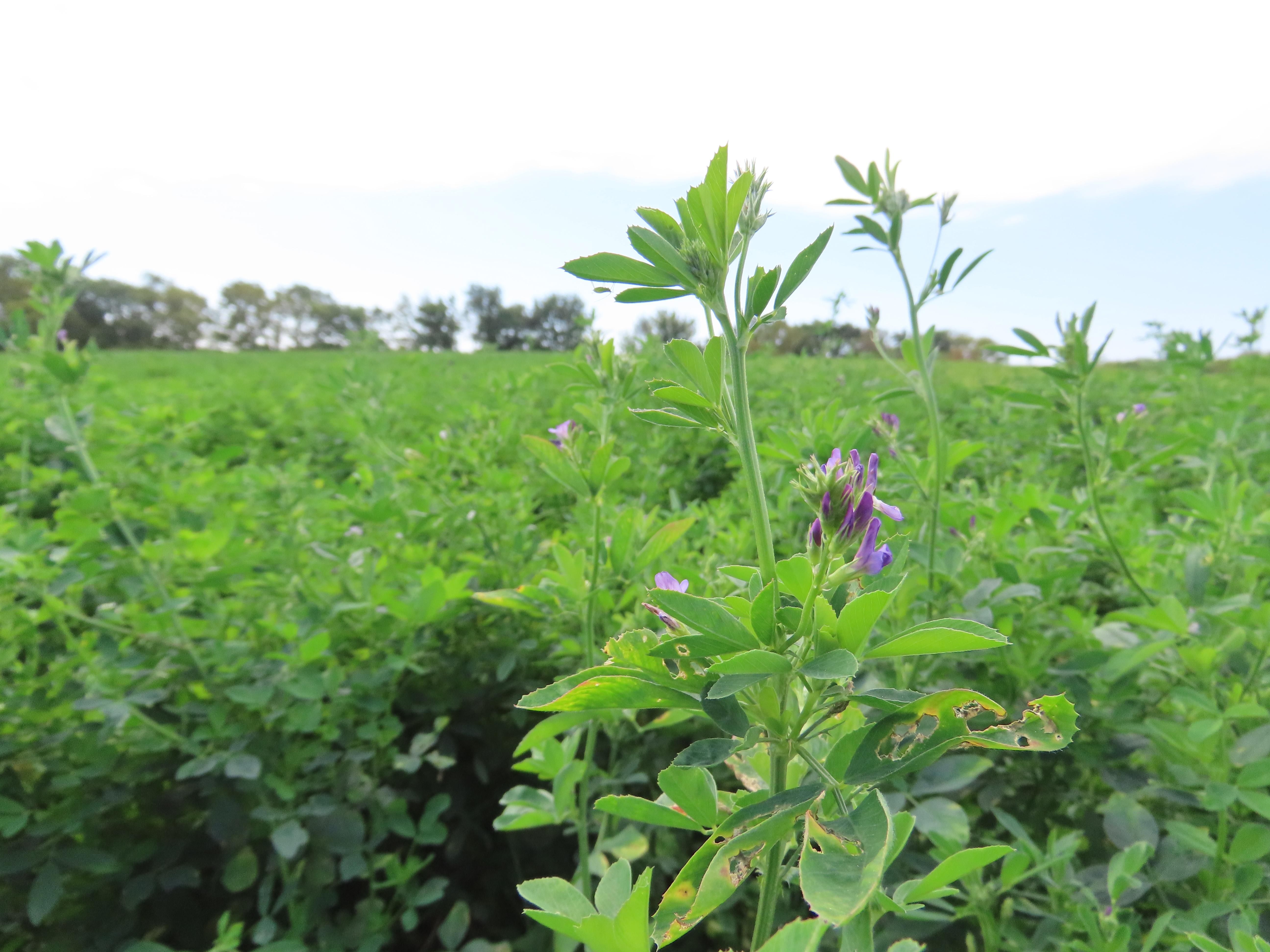 139.36 acres in Sabin, MN, 56580 | LandWatch