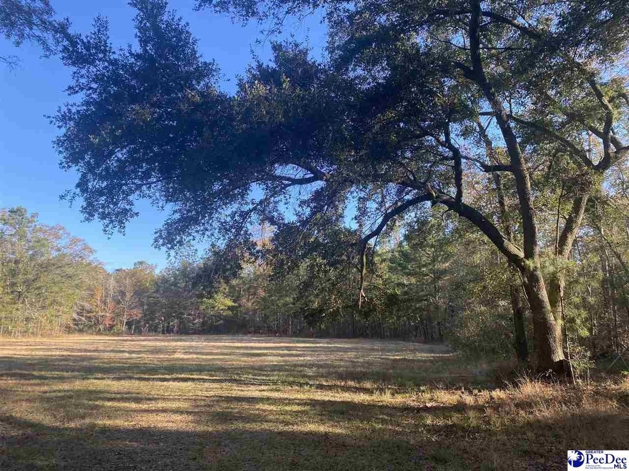 Henderson Rd, Varnville, SC 29944 | MLS: 20251539 | LandWatch