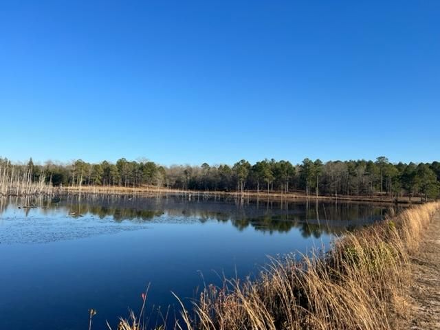 Mallard Road, Butler, GA 31006 | LandWatch