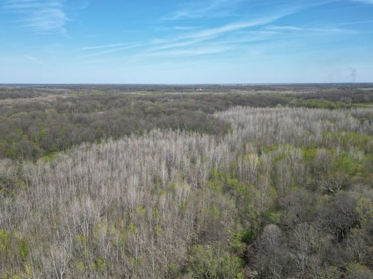 000 Newby Road, Shipman, IL 62685 | LandWatch