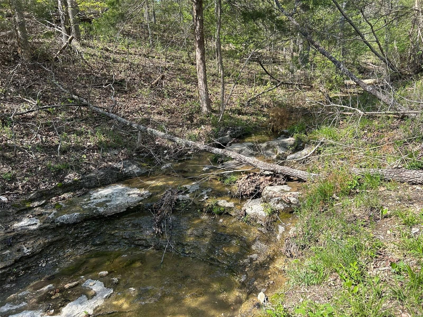 2890 Plum Tree Rd Road, Bourbon, MO 65441 | MLS: 25027308 | LandWatch