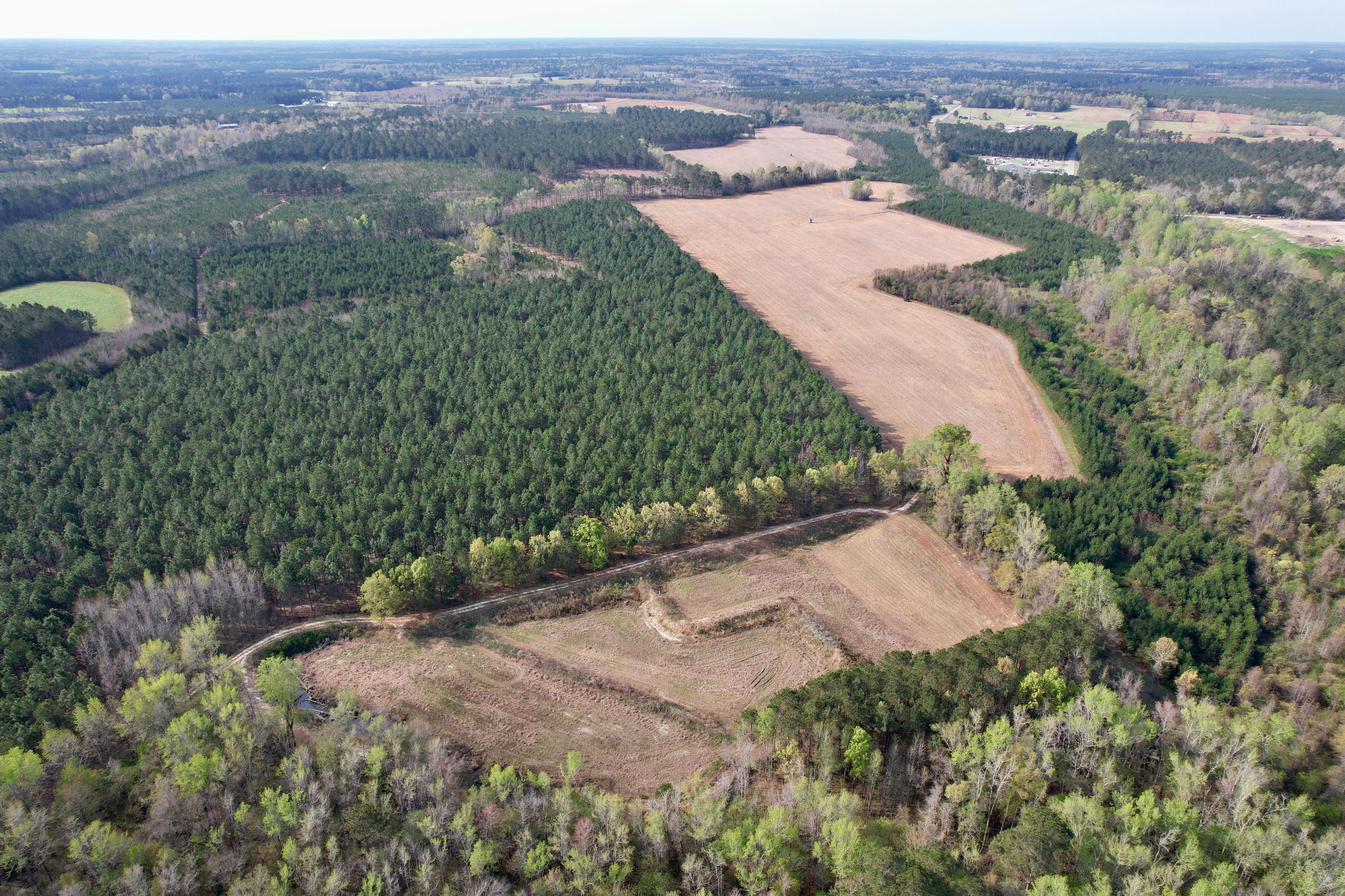 1339 Johnsonville Highway, Lake City, SC 29560 | MLS: Sharp Farms ...