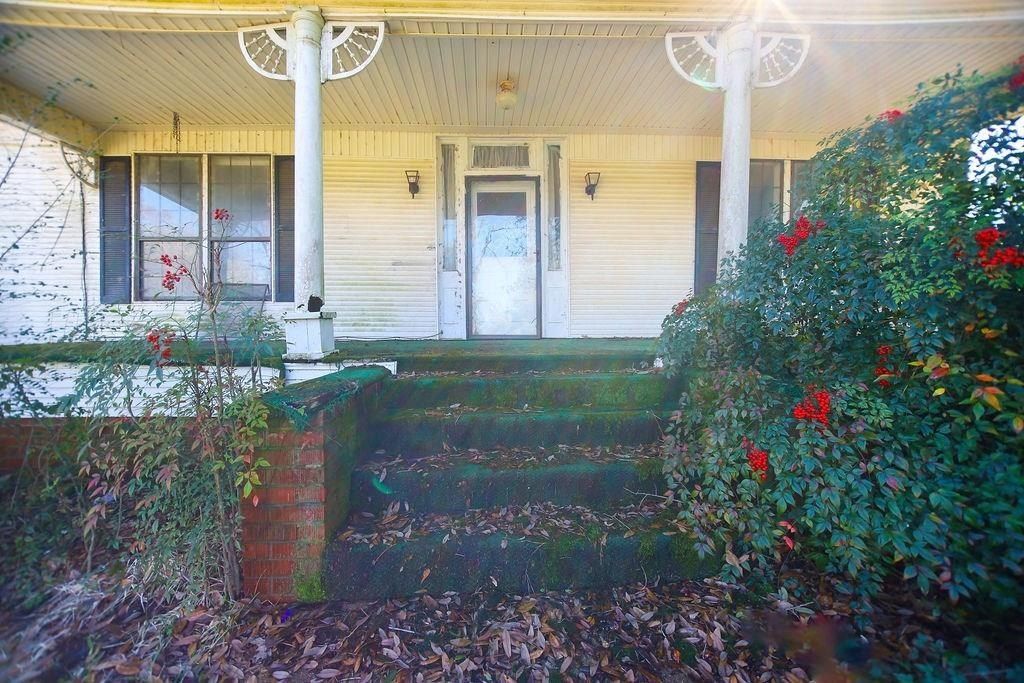 196 County Road 2090, Shelbyville, TX 75973 | MLS: 5103725 | LandWatch