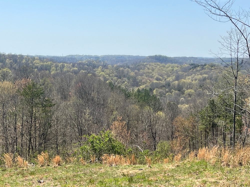 N Side Bigley Ridge Road, LotWP#001, Long Bottom, OH 45743 | LandWatch