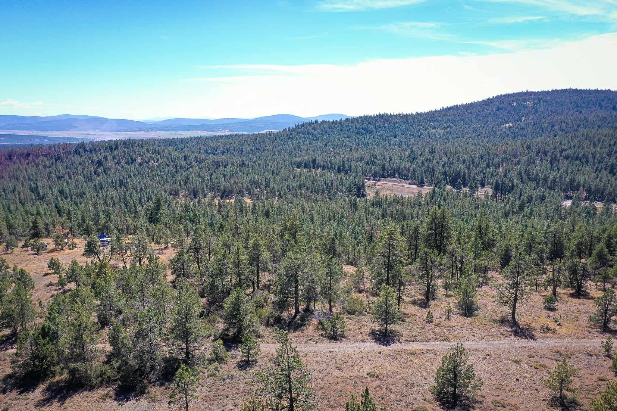 Beaver Ln, Bonanza, OR 97623 | LandWatch