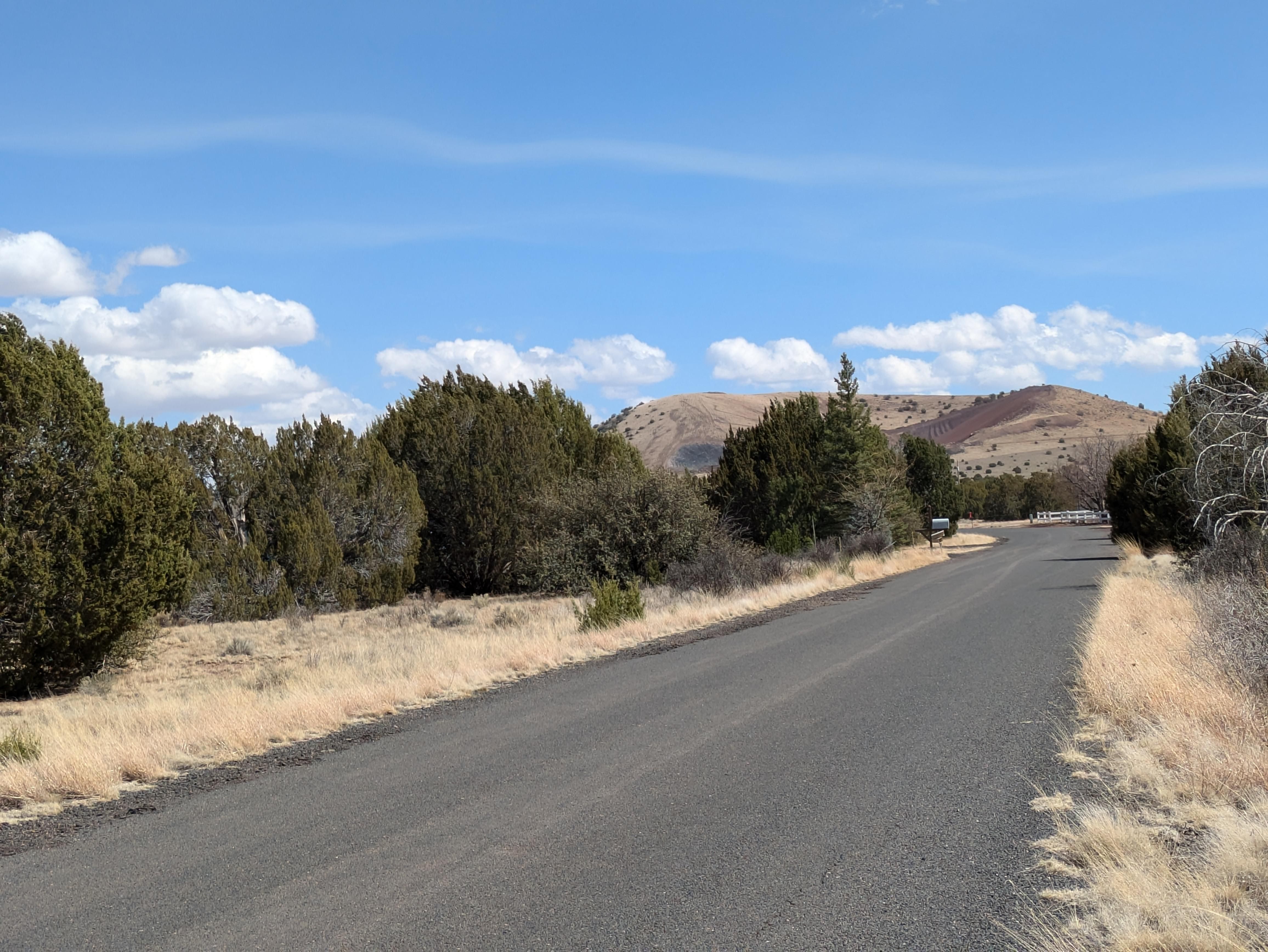 County Road, Concho, AZ 85924 | LandWatch