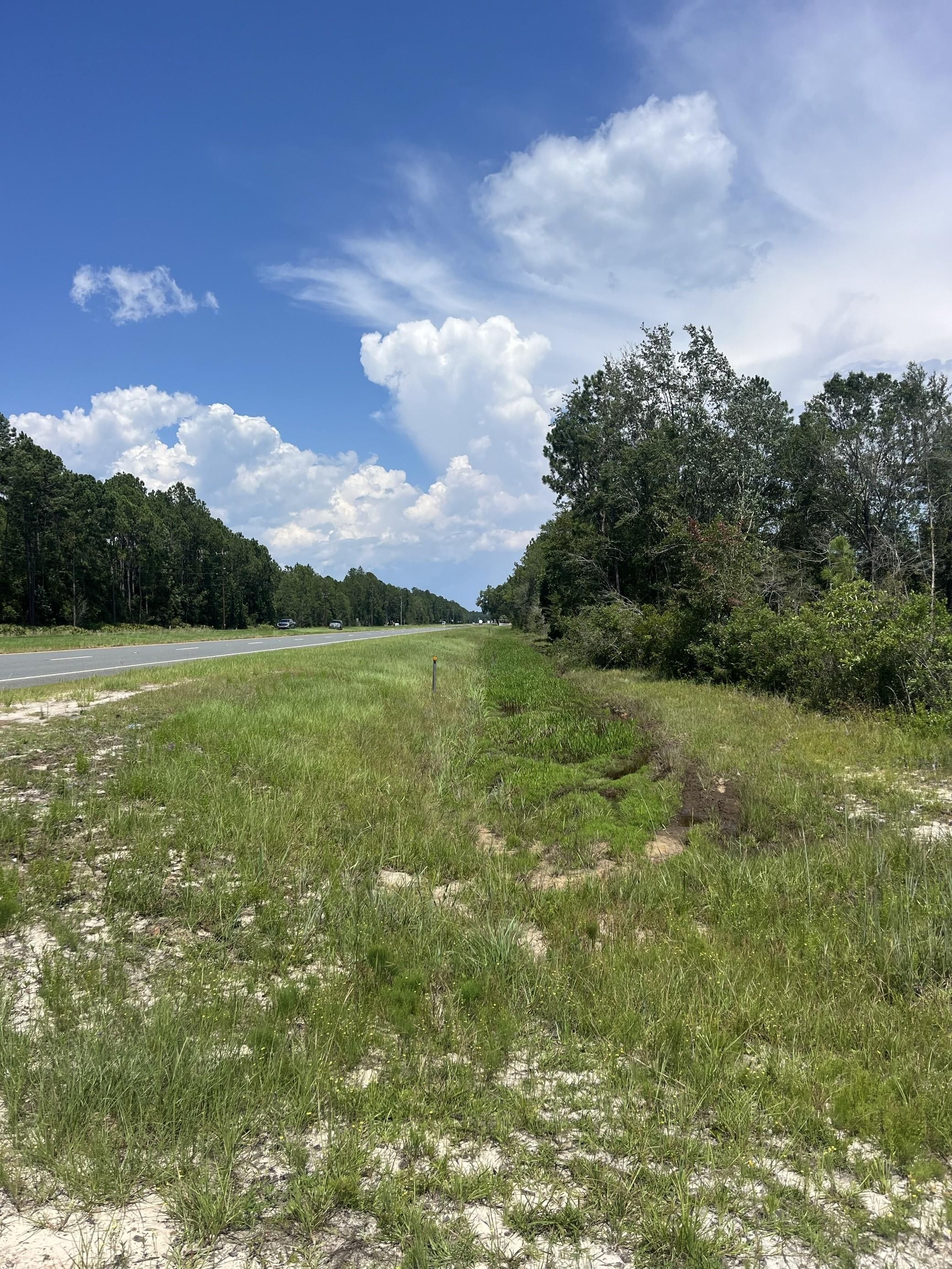 20 acres in Nahunta, GA, 31553 | LandWatch