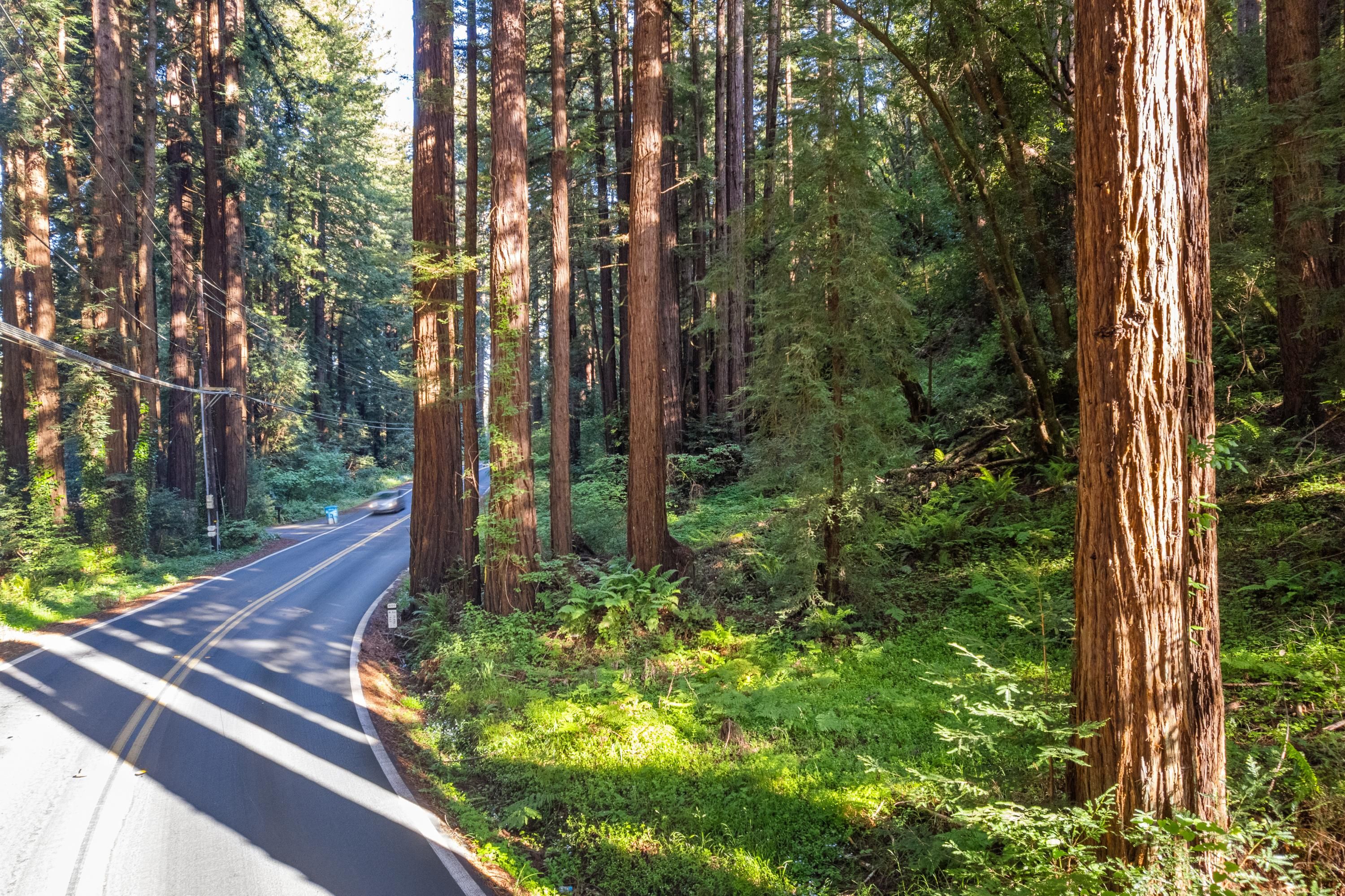 Nicasio Valley Rd, Nicasio, CA 94946 | LandWatch