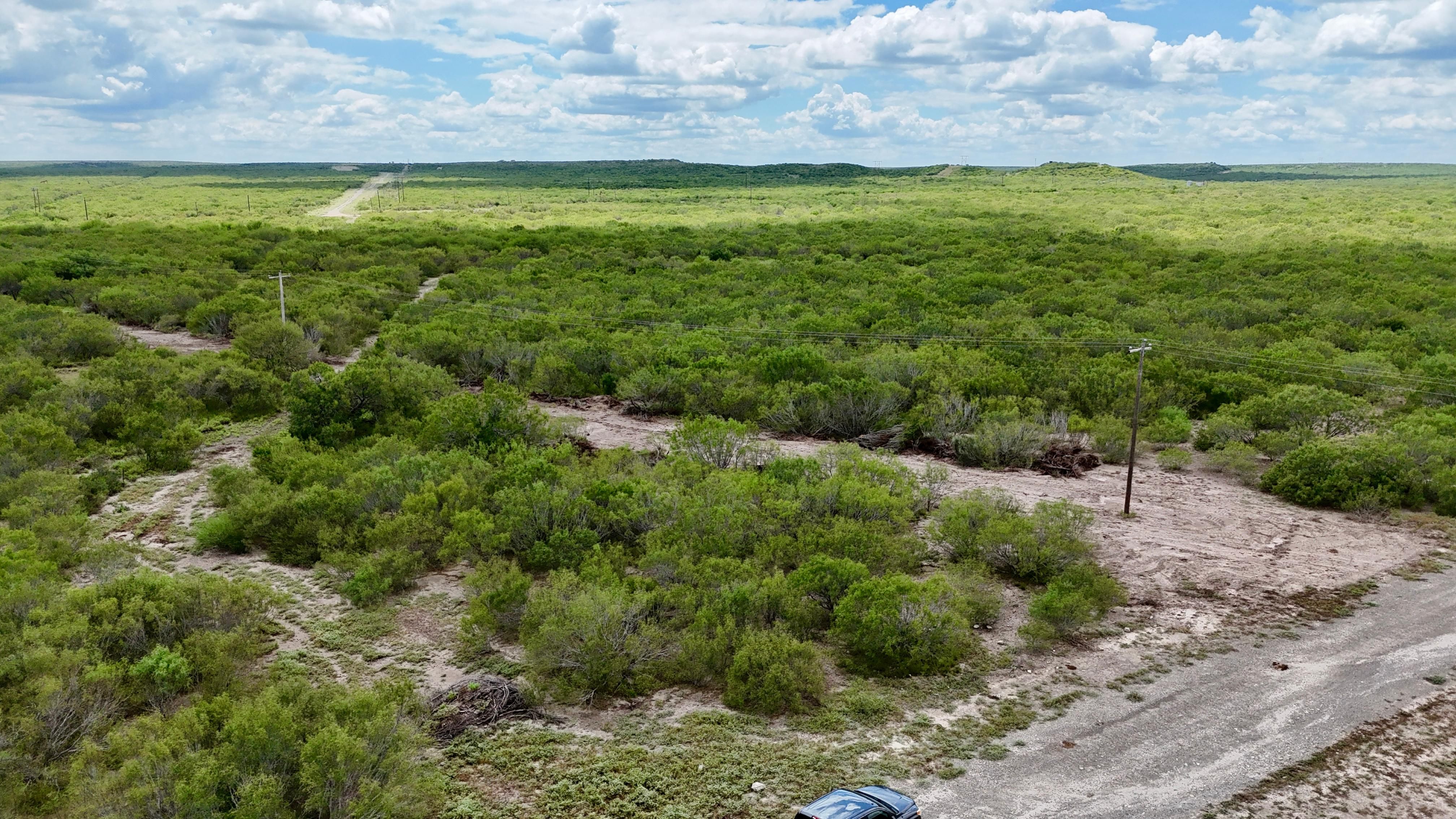38.44 acres in Freer, TX, 78357 | LandWatch