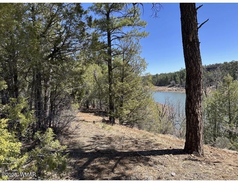 Tbd Show Low Lake Road, Show Low, AZ 85901 | MLS: 255715 | LandWatch