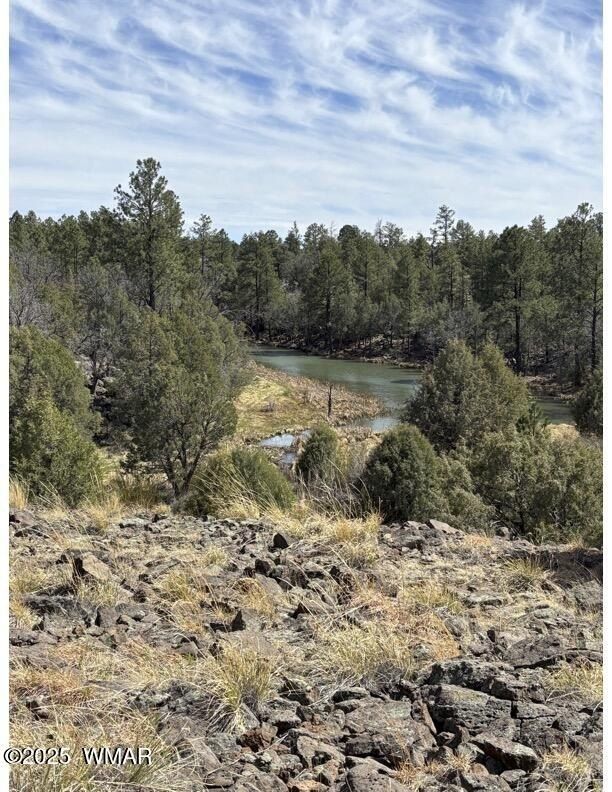 Show Low Lake area, Show Low, AZ 85901 | MLS: 255716 | LandWatch