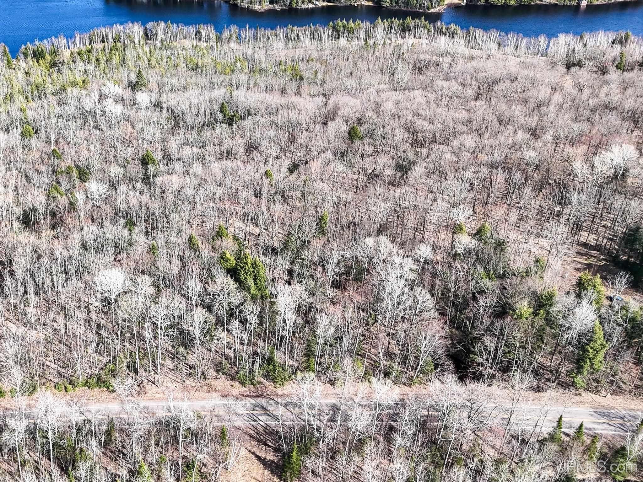 On Chaney Lake, Bessemer, MI 49911 | MLS: 50173269 | LandWatch