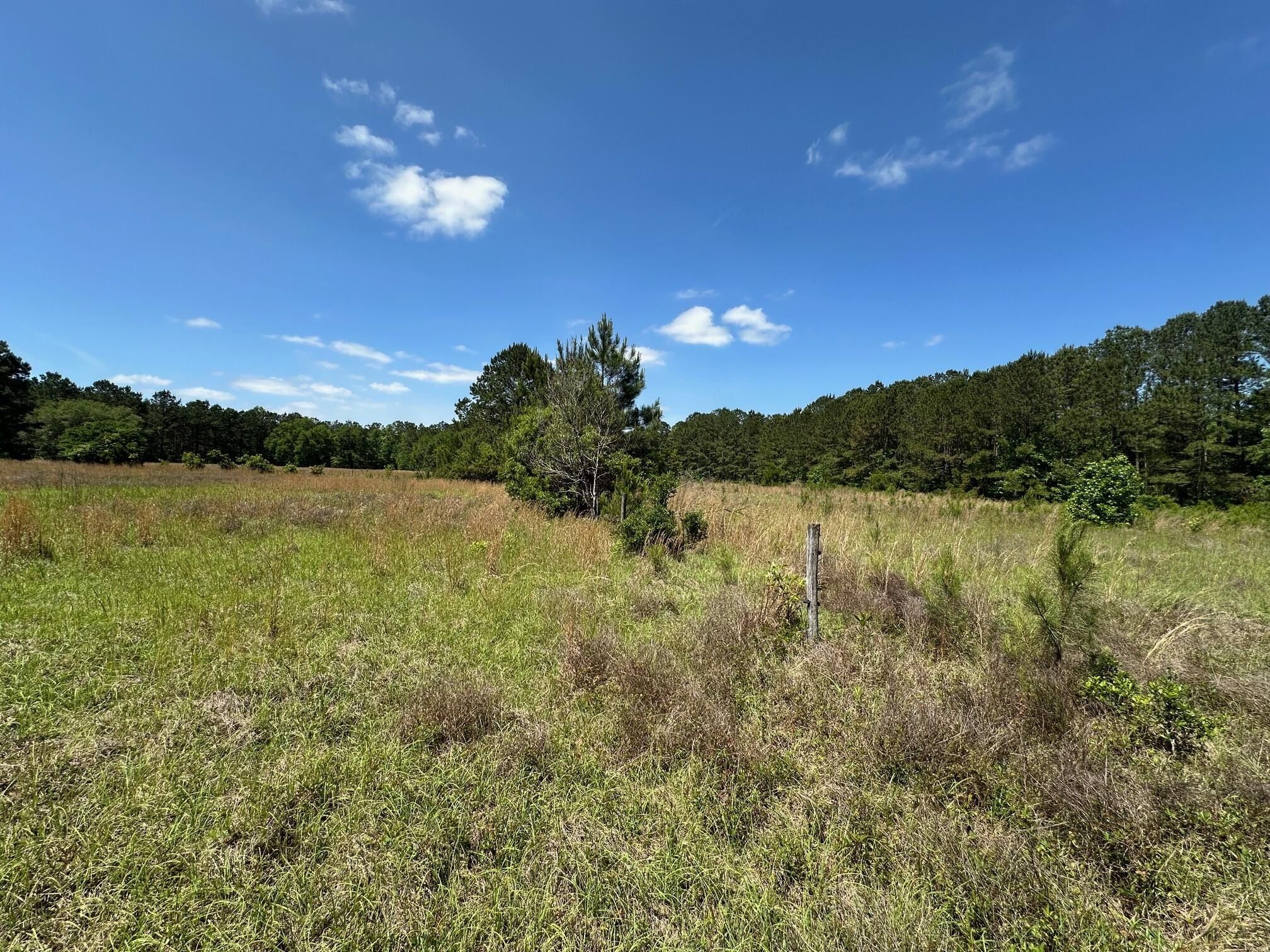 0 Willtown Road, Hollywood, SC 29449 | MLS: 25012053 | LandWatch