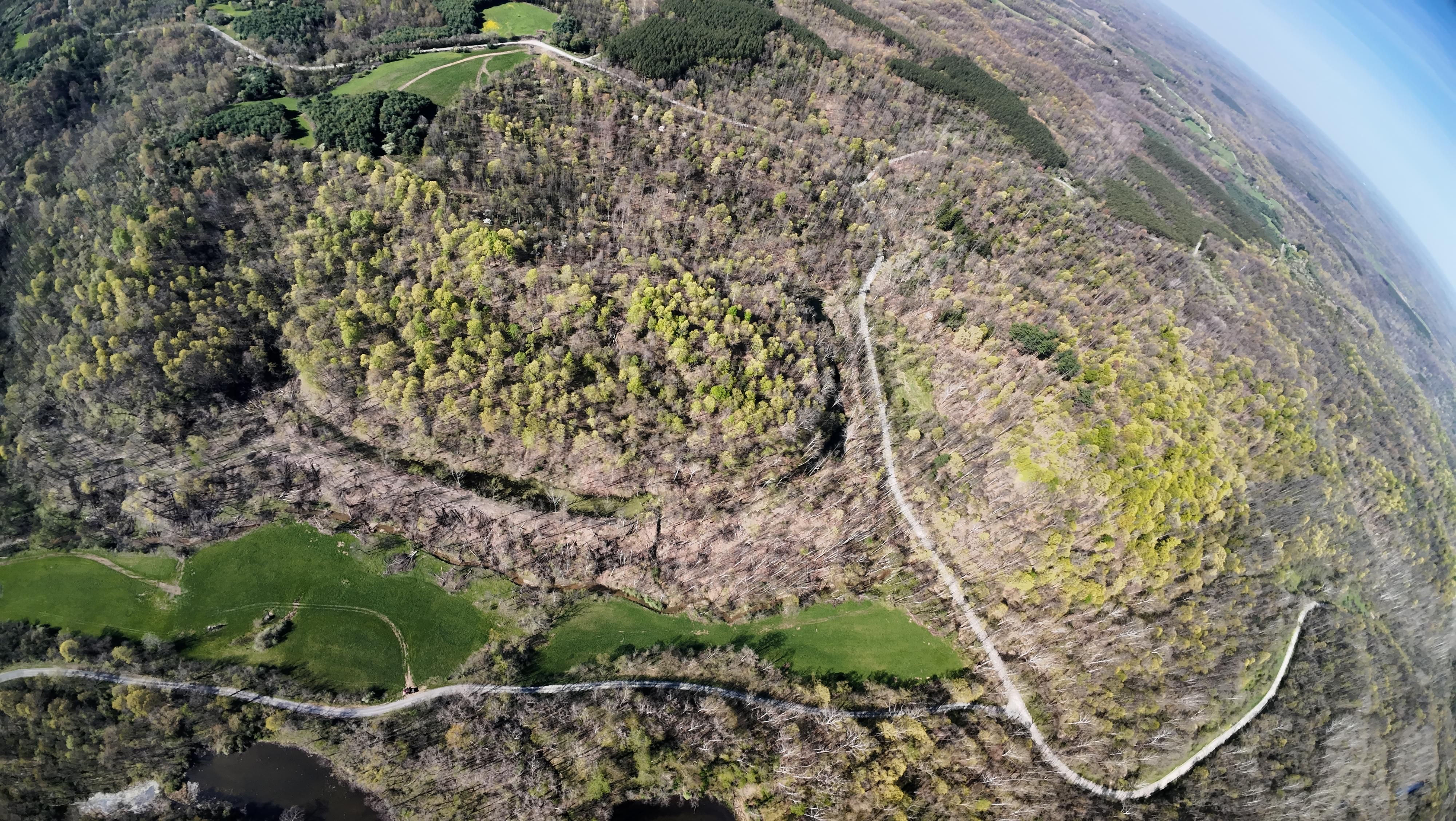 Alfred Brown Rd, Dexter City, OH 45727 | MLS: Noble County Ohio Land ...