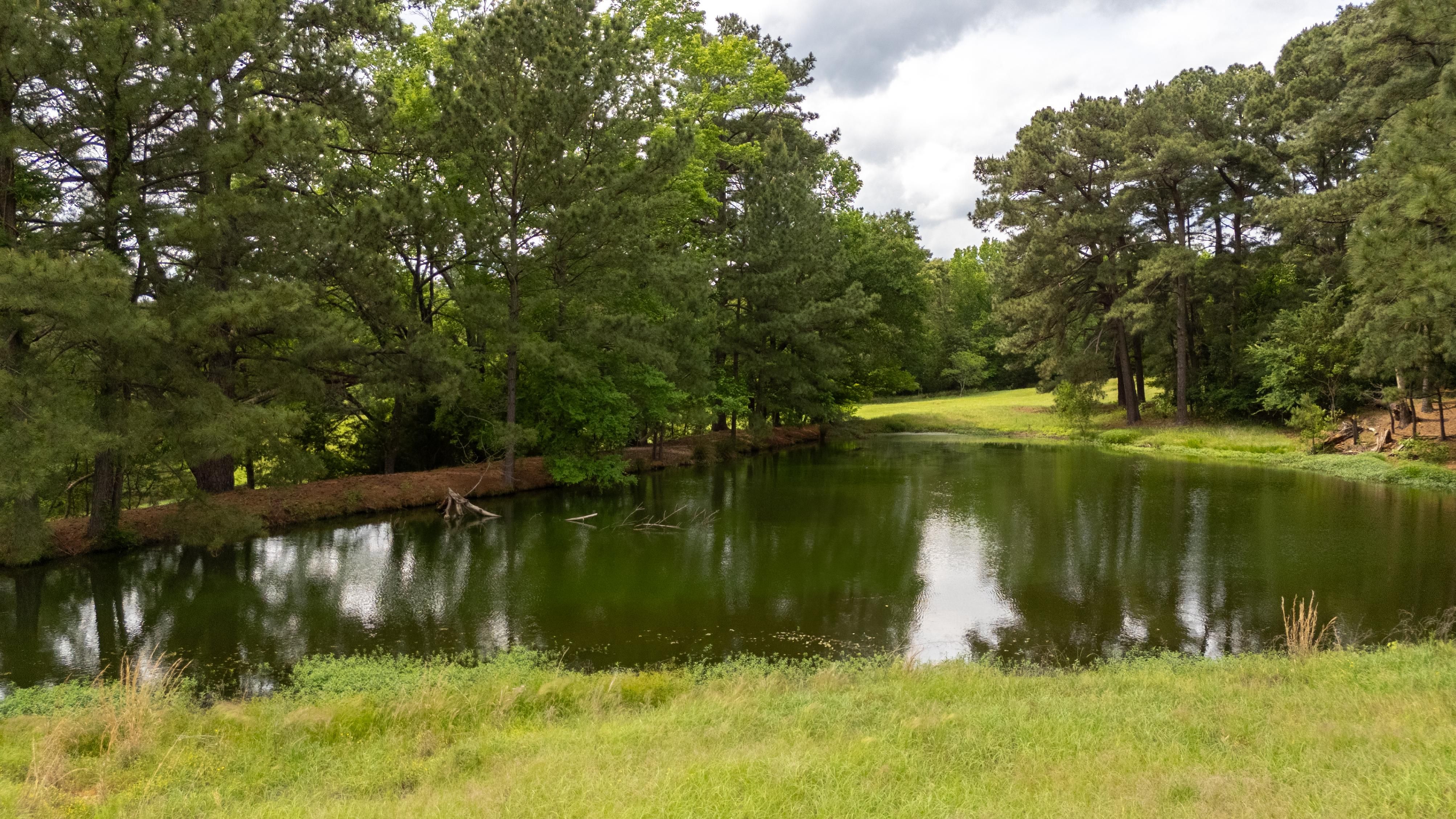 67 acres in Diana, TX, 75640 | LandWatch