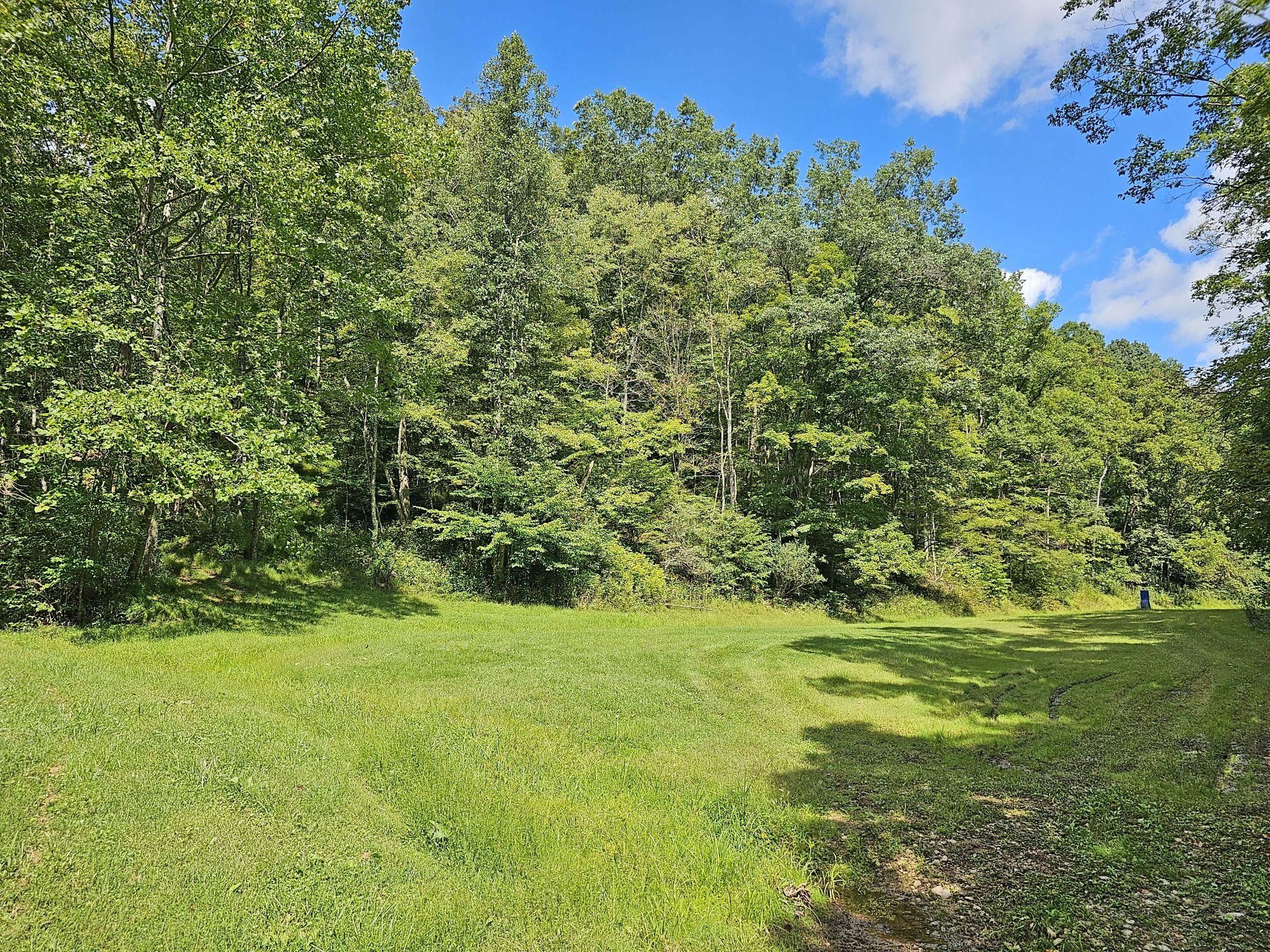 9081 WV-23, Center Point, WV 26339 | LandWatch