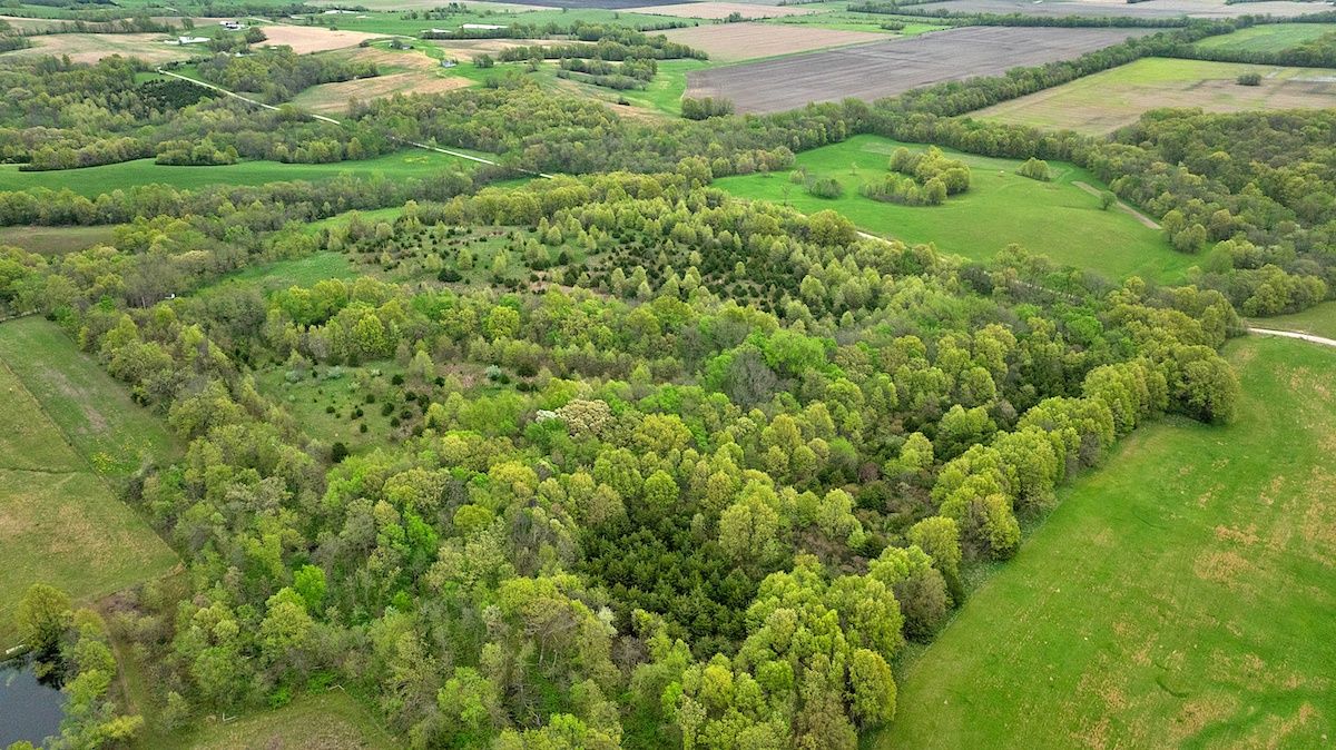 NW 95th St, Lot #WP001, Spickard, MO 64679 | MLS: 2546375 | LandWatch