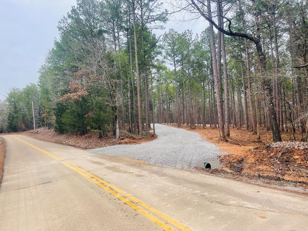County Road 255, Thaxton, MS 38871 | MLS: 160173A | LandWatch