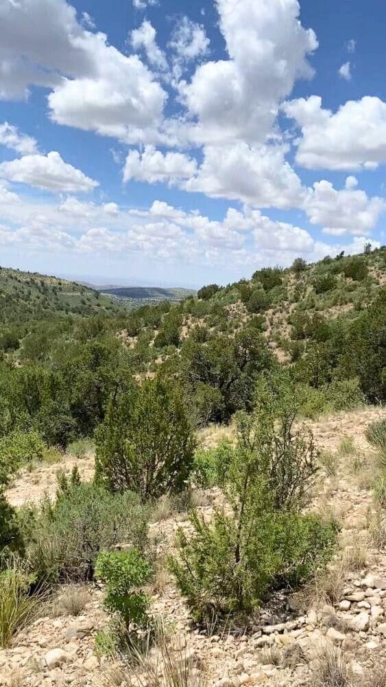 Mountainaire Dr, Timberon, NM 88350 | MLS: R050523 | LandWatch