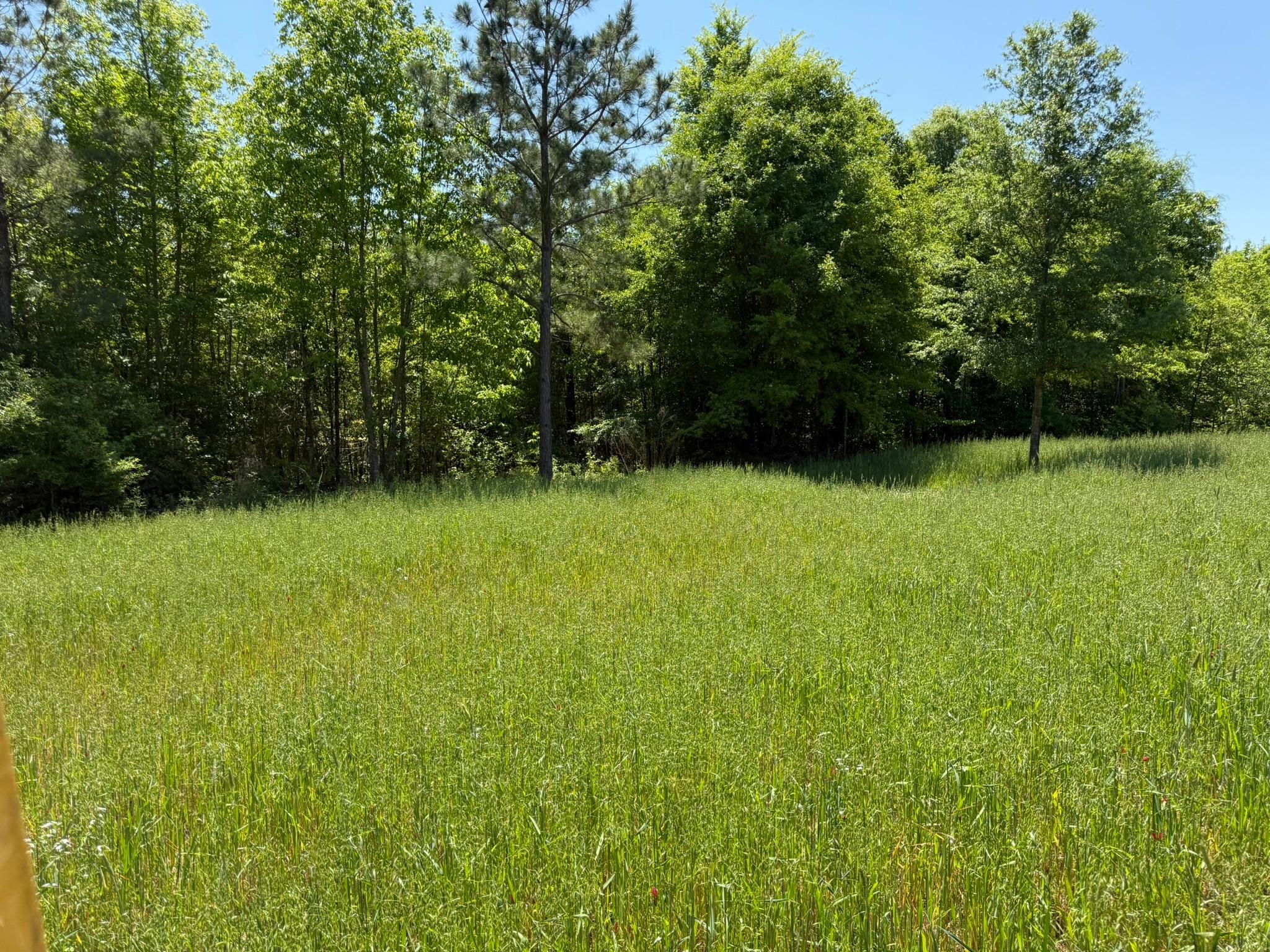 County Road 6631, Banks, AL 36005 | LandWatch