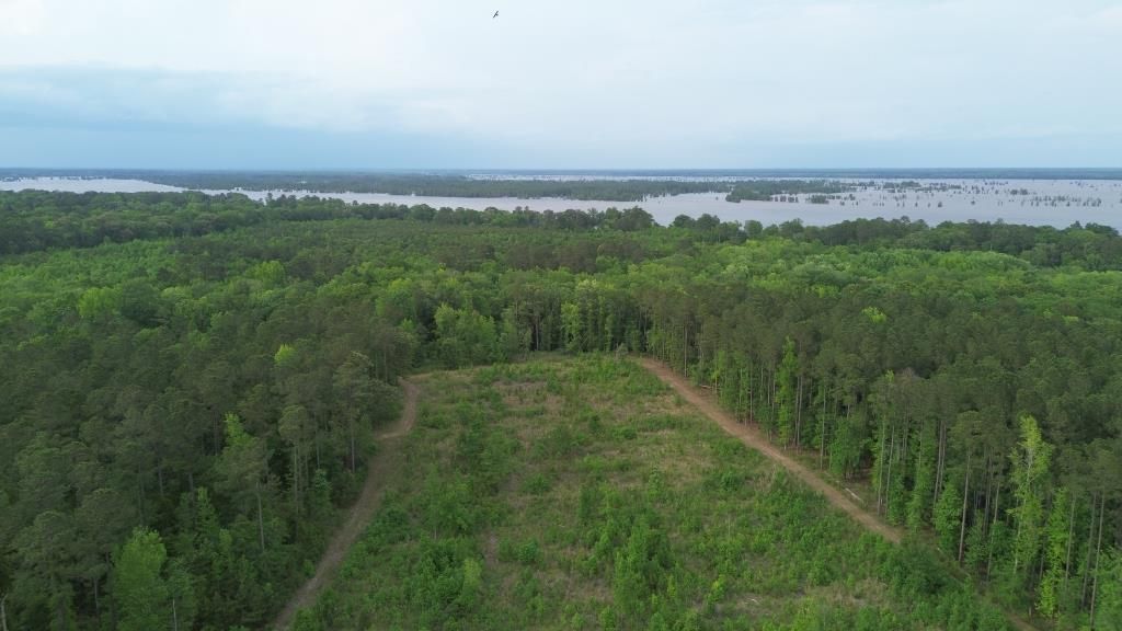 43 acres in Cameron, SC, 45017 | MLS: B932 SC Calhoun County-Harmon ...