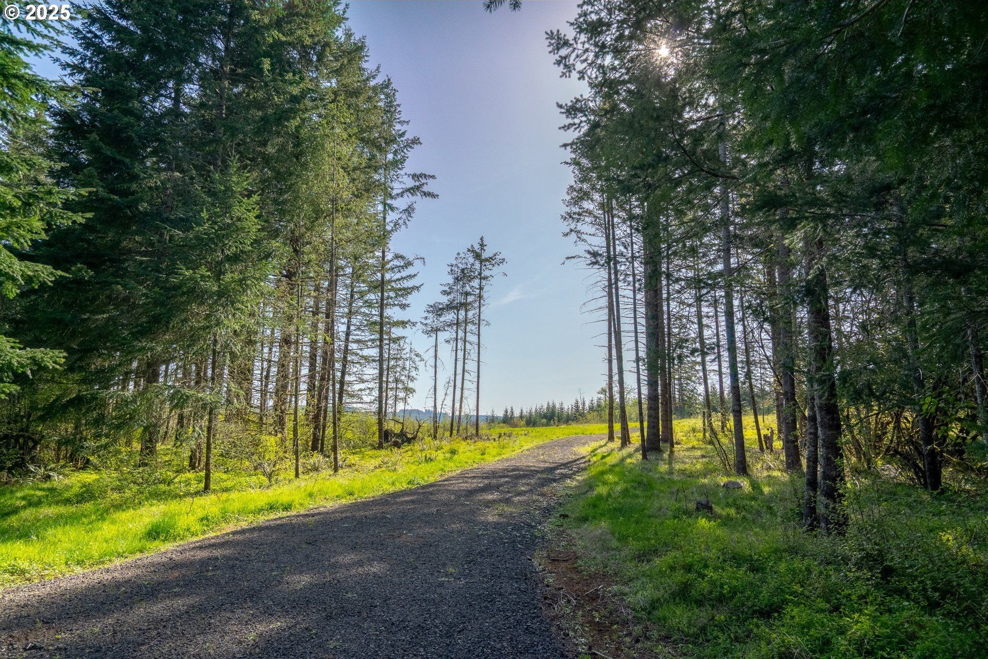 2333 CROOKED FINGER RD, Scotts Mills, OR 97375 | MLS: 238664500 | LandWatch