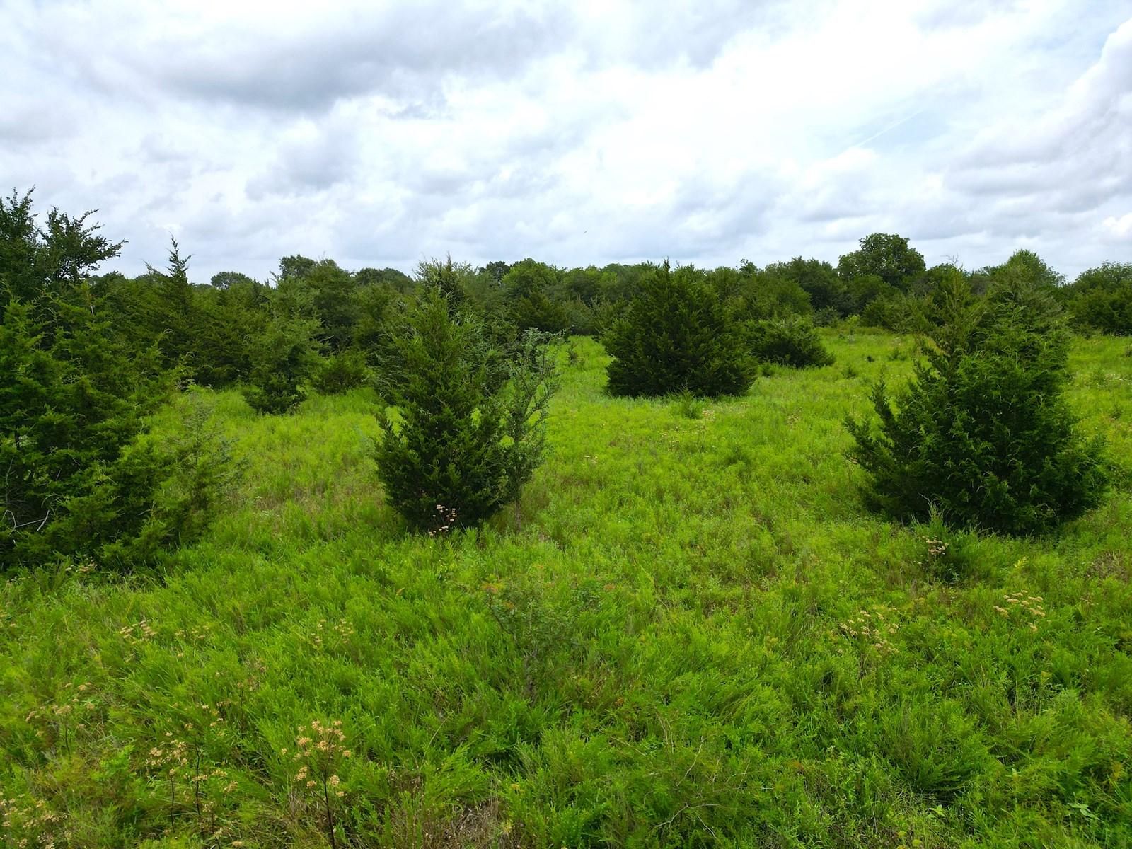 60 acres in Bokchito, OK, 74726 | LandWatch