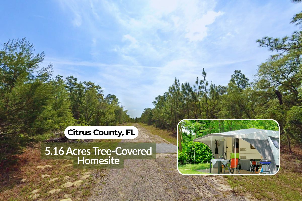 1208 W Pendleton St, Citrus Springs, FL 34434 | LandWatch