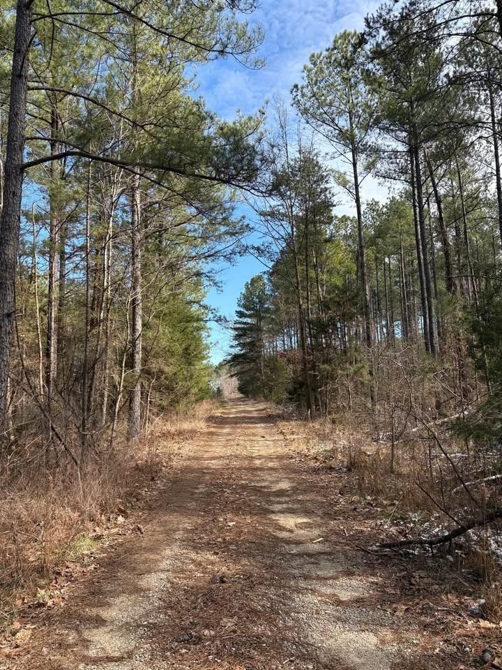 365 acres in Youngtown, AL, 35650 | LandWatch