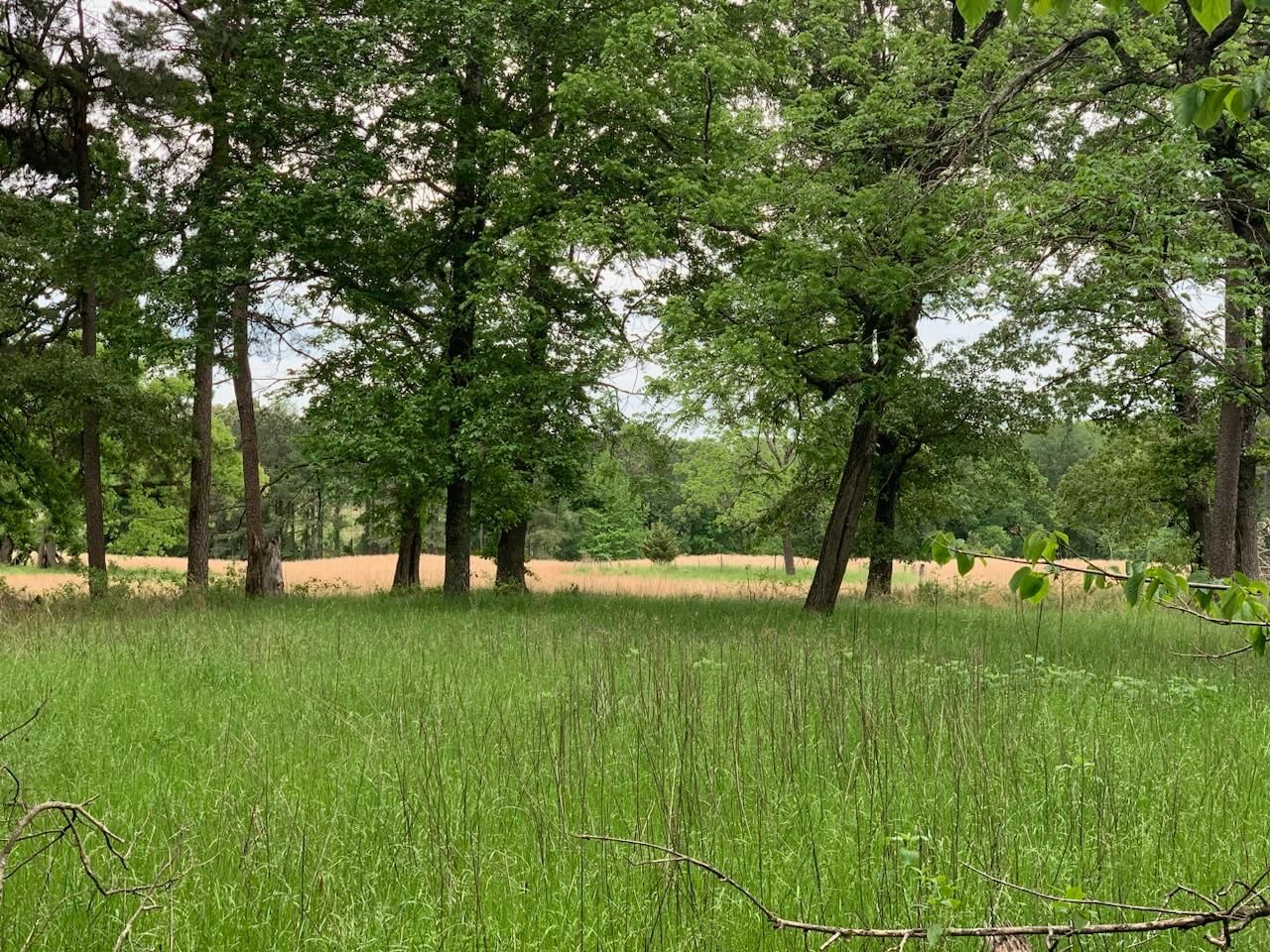 31 acres in Dimple, TX, 75426 | LandWatch