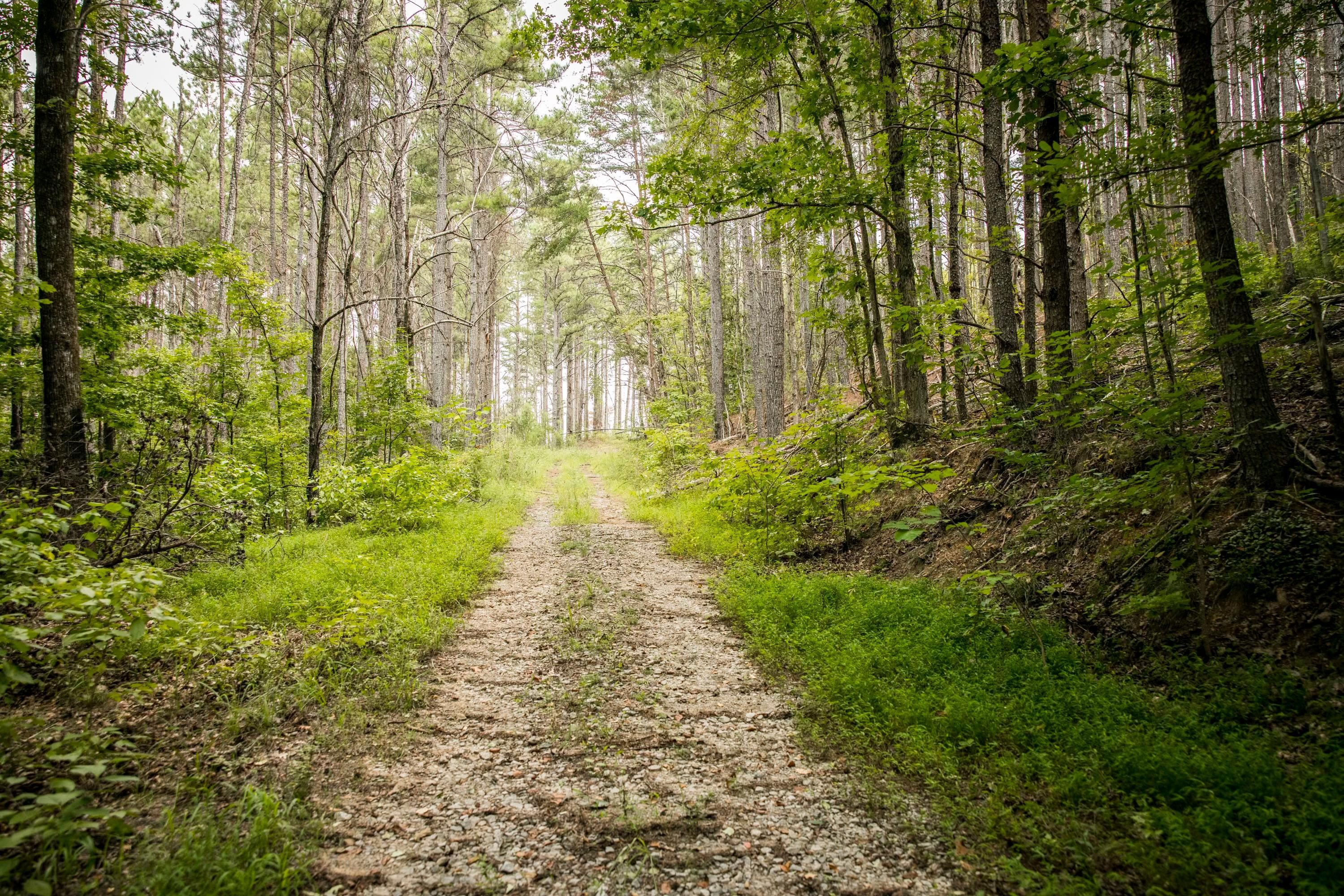 15 acres in Youngtown, AL, 35650 | LandWatch