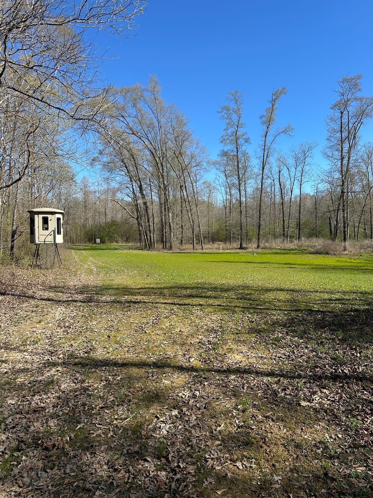 000 Lebanon Road, Mcrae, AR 72102 | LandWatch