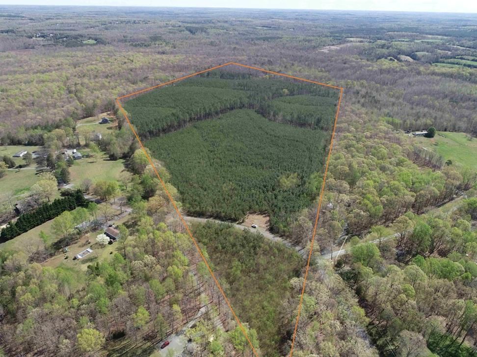 76.6 acres in Cunningham, VA, 22963 | MLS: B931 Bivins Tract | LandWatch