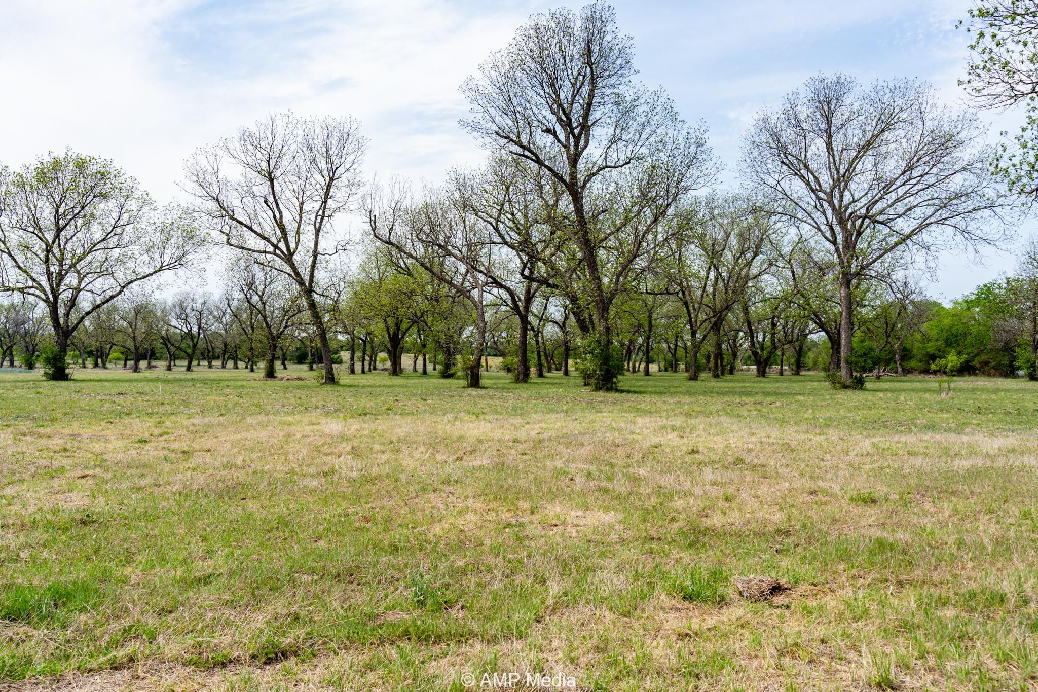 County Road 360, Gustine, TX 76455 | LandWatch